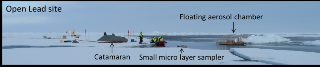 Atmospheric Sciences | The perfect ice floe