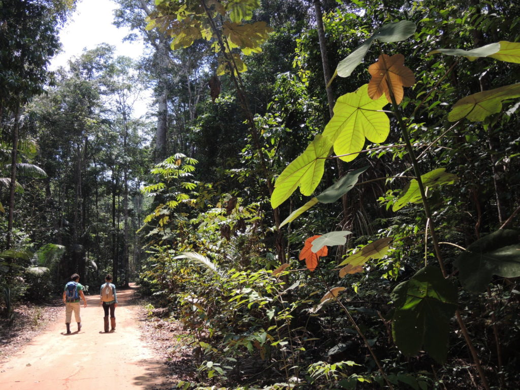 Atmospheric Sciences | Atmospheric research in the middle of the Amazon ...