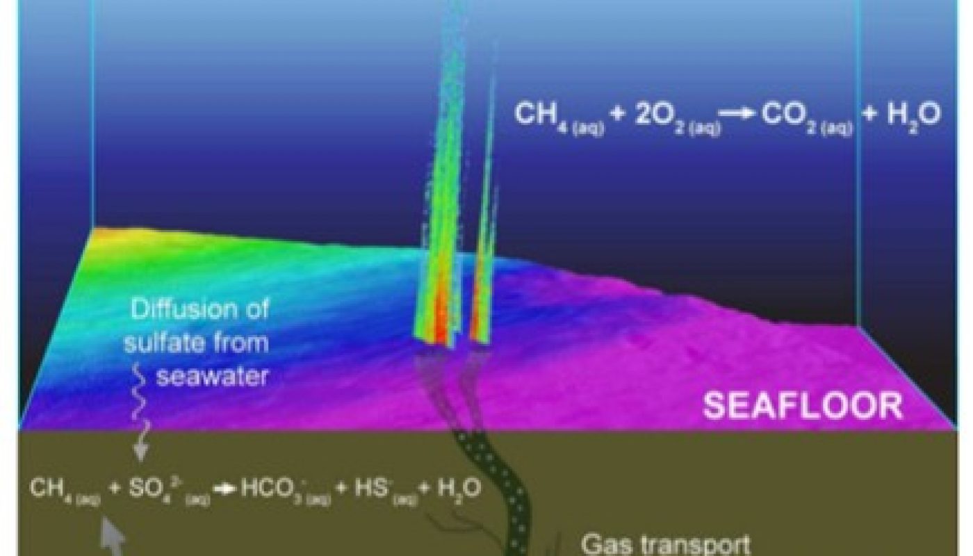 Biogeosciences | Understanding the role of microbes in cold seep habitats