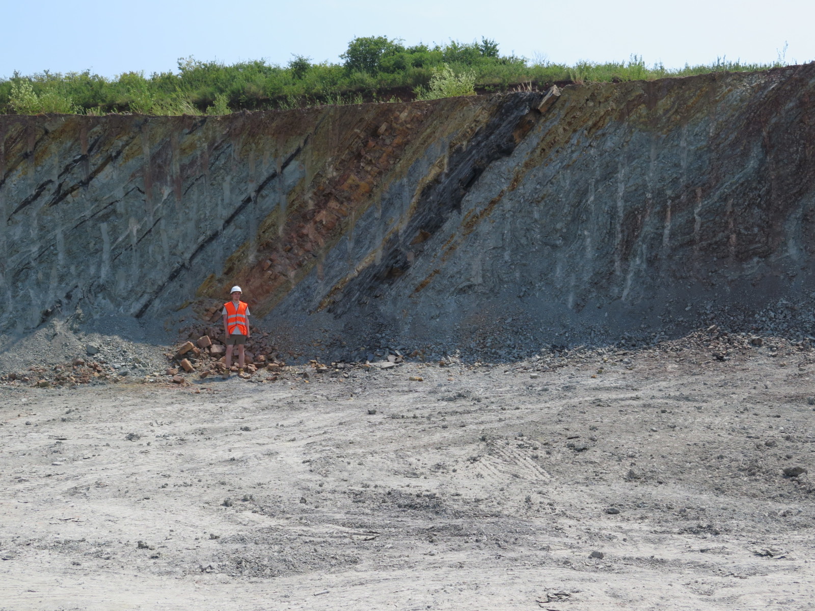 Biogeosciences | Phosphorus-cycle perturbations and environmental ...