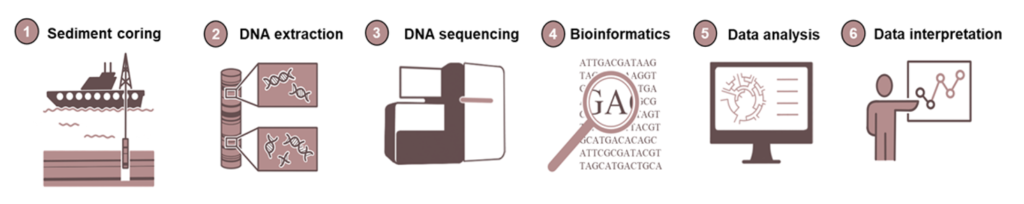 Biogeosciences | The sedaDNA scientific society, a collaborative network of international ...