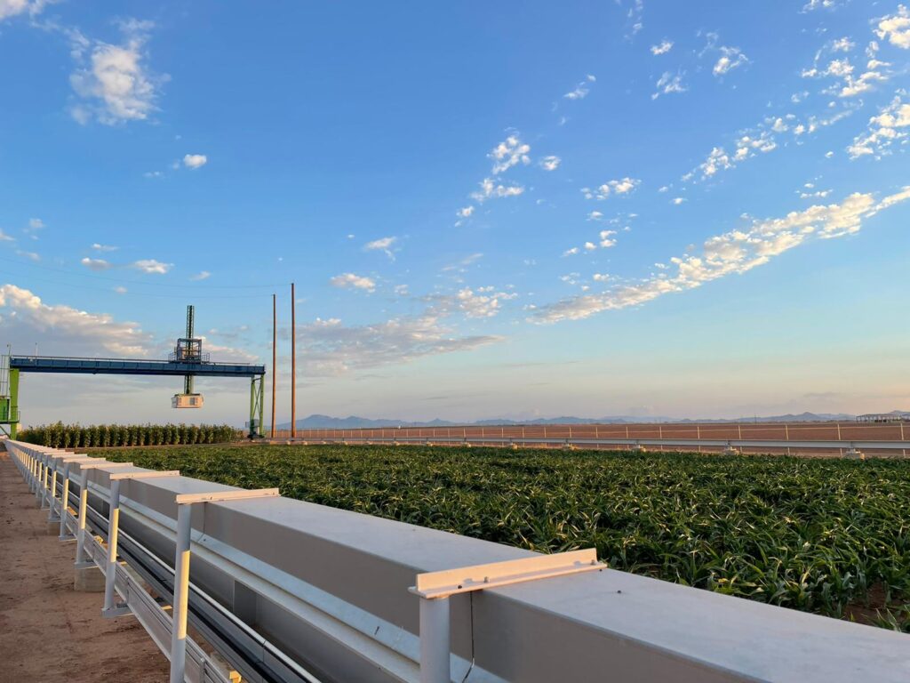 Biogeosciences | Eco-Omics: Harnessing meta-omics to understand the ...