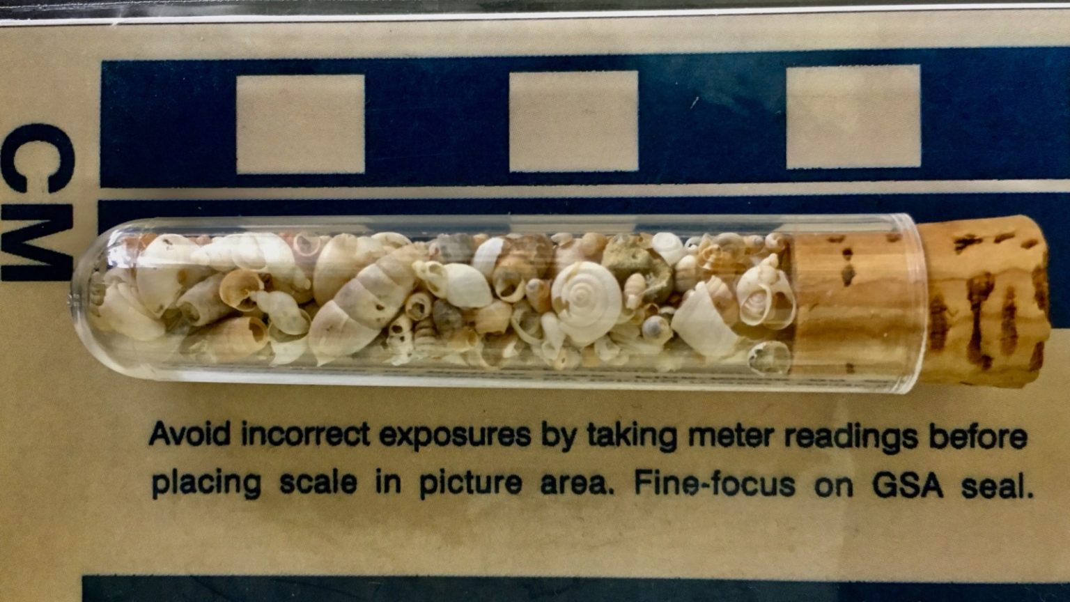 Climate: Past, Present & Future | Land snails in the service of ...