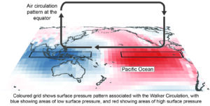 Climate: Past, Present & Future | The Walker Circulation: what is it ...