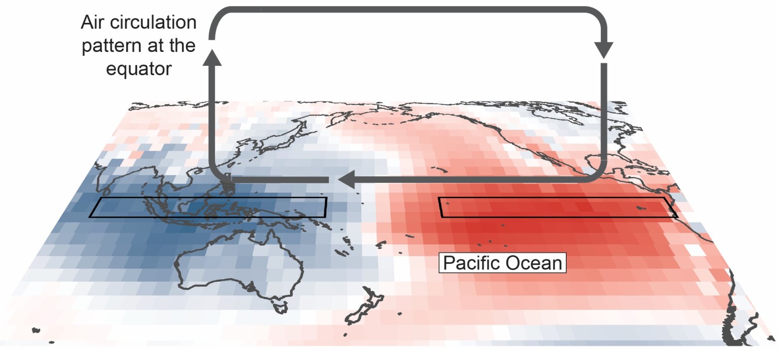 Climate: Past, Present & Future | The Walker Circulation: what is it ...