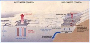Cryospheric Sciences | Image of the Week – A Hole-y Occurrence, the ...