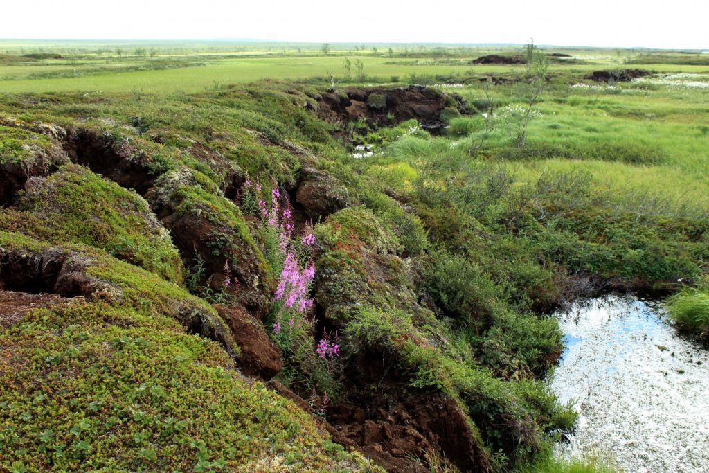 Cryospheric Sciences | Image of the Week – Permafrost features ...