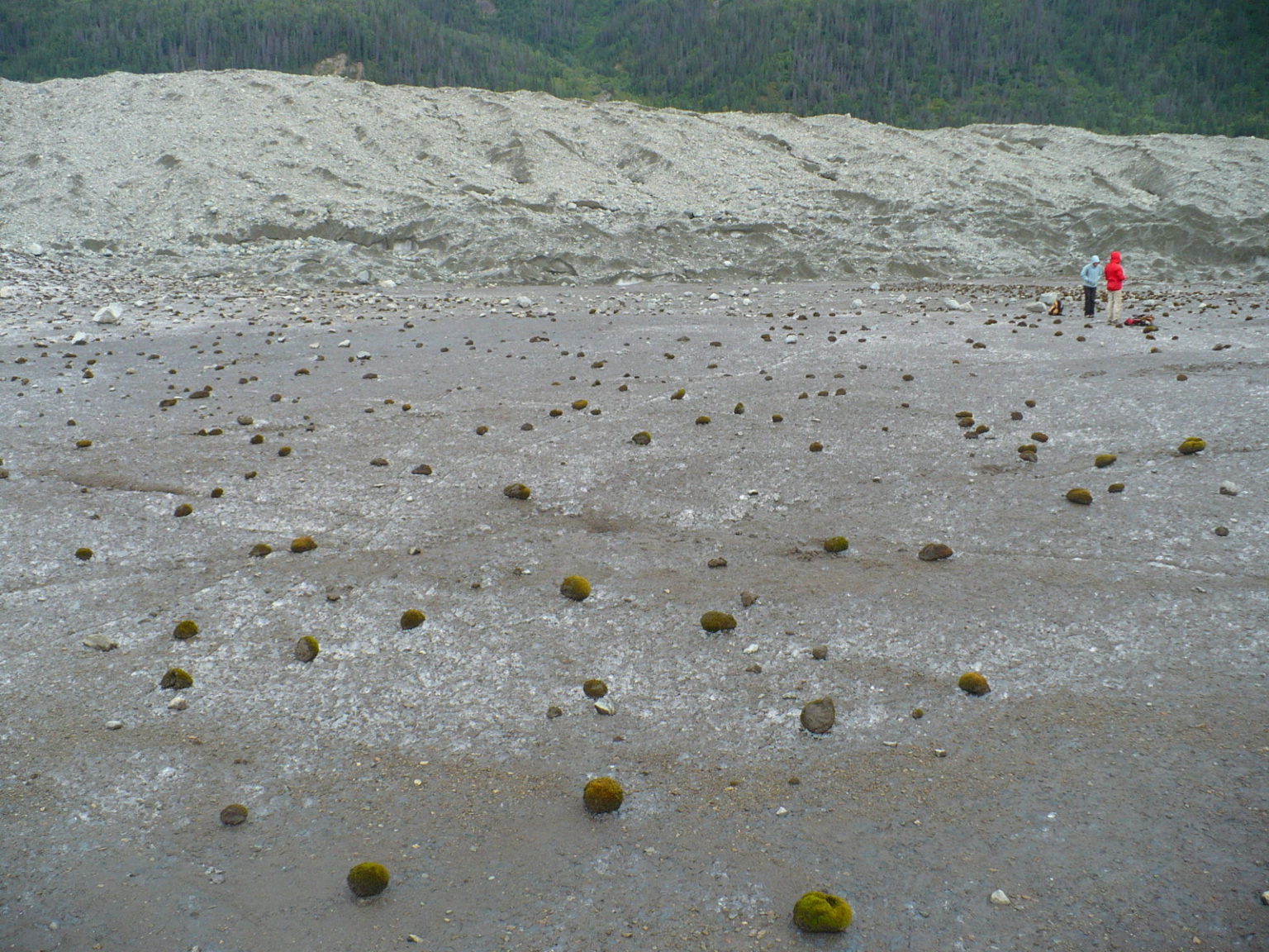 Cryospheric Sciences | Image of the week – The curious case of “glacier ...