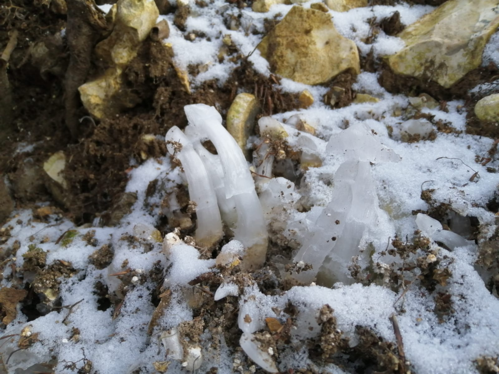 Cryospheric Sciences | Image of the Week – The mystery of the ice mushrooms