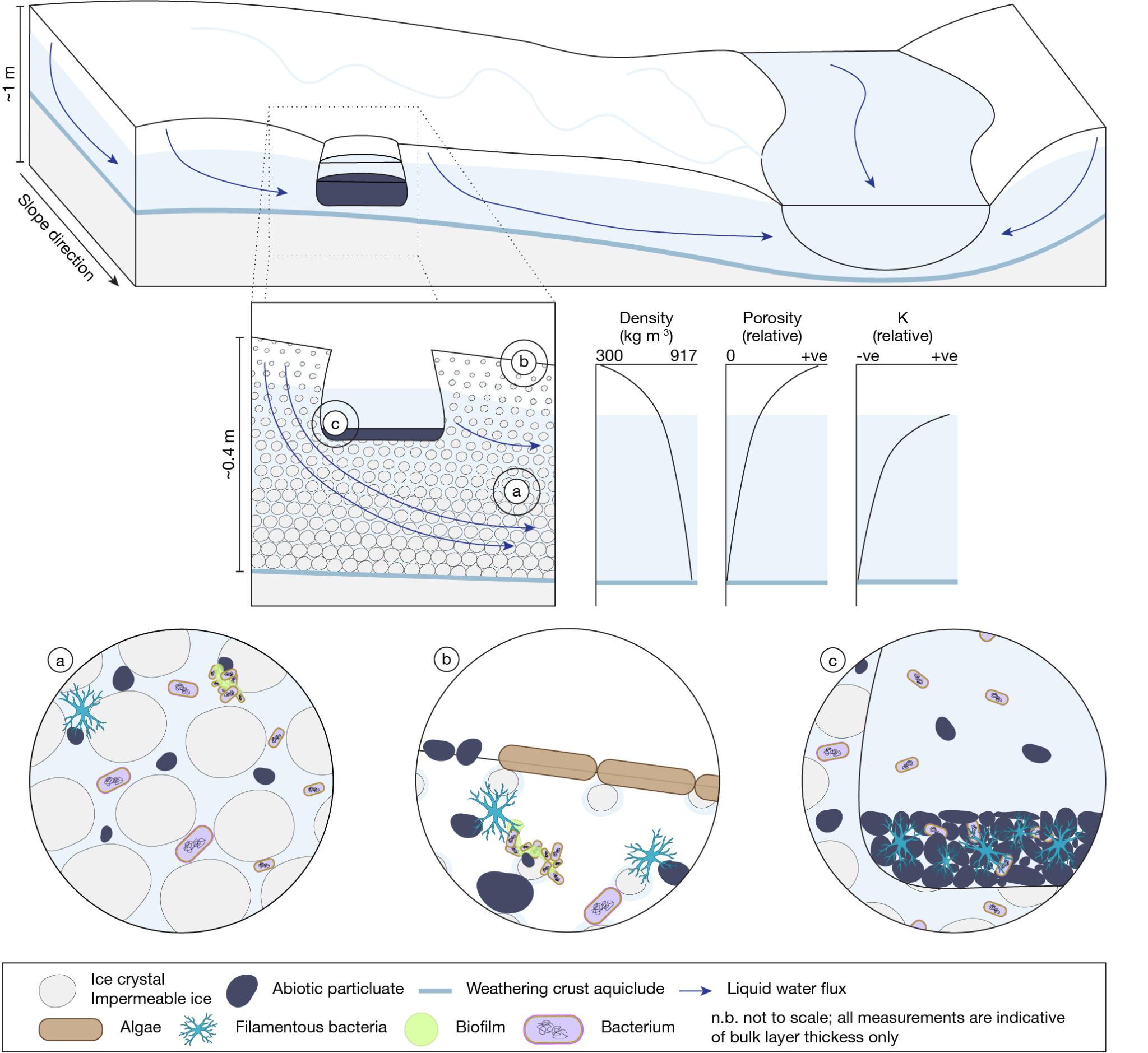 Cryospheric Sciences | Did you know about the weathering crust? Five ...