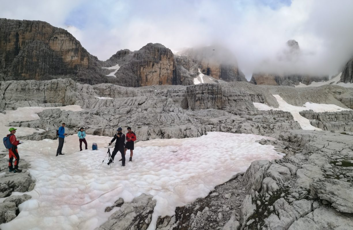 Cryospheric Sciences | Cryo-Adventures – Hunting snow algae in the Alps