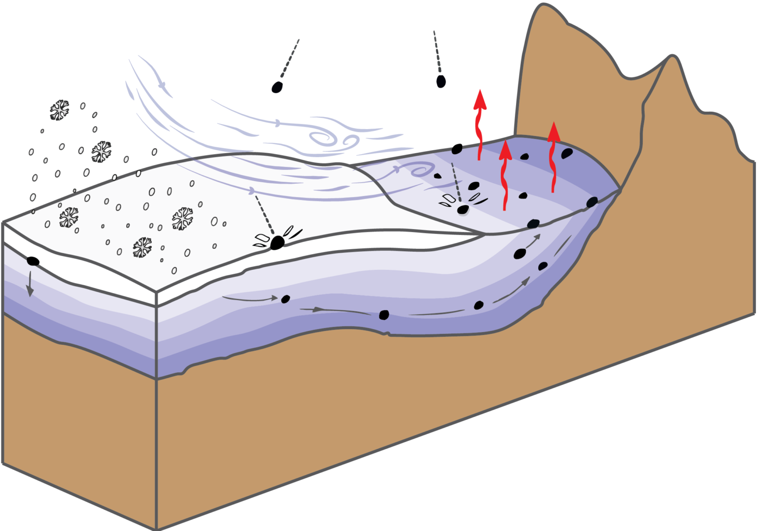 Cryospheric Sciences | Highlighted Paper – Meteorites in Antarctica