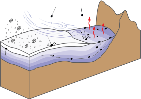 Cryospheric Sciences | Highlighted Paper – Meteorites in Antarctica