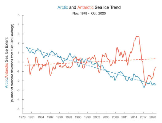 Cryospheric Sciences | Did you know the differences between Arctic and ...