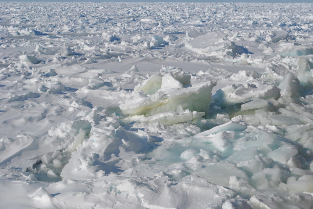 Cryospheric Sciences | Fun Cryo Facts – Don’t eat brown snow