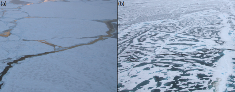Cryospheric Sciences | Did you know about the dark secrets of Arctic ...