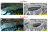 Cryospheric Sciences | A ‘Ticking Bomb’: Understanding the 2023 Glacial ...