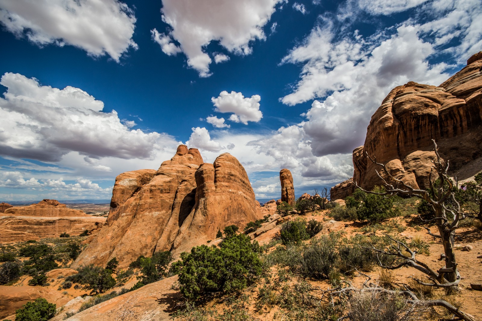 Energy, Resources and the Environment | ERE is here to stay!