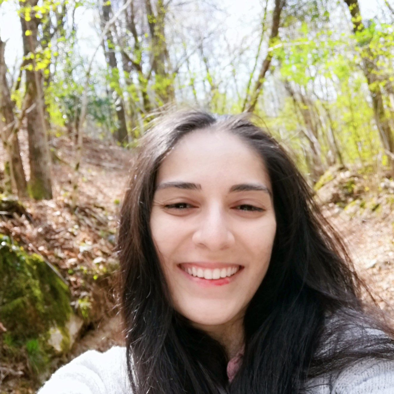 Geodesy | What would we like to see from future gravity missions? Help ...