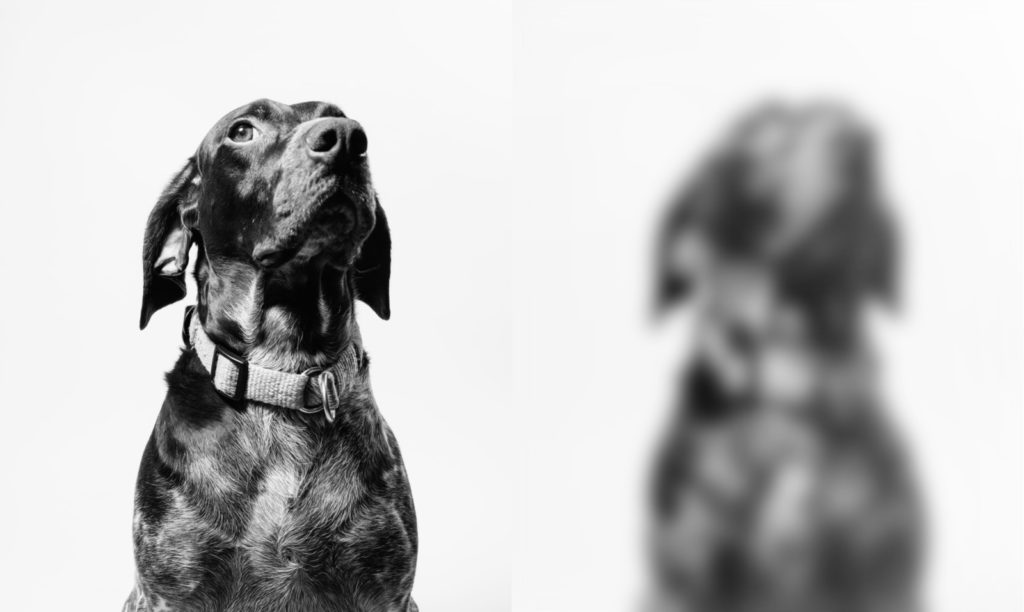 Geodynamics | Should we still study LLSVPs?