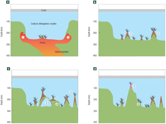 Geodynamics | 2021: 100th year of the craton concept and beyond