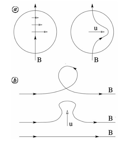 Geodynamics | Magnetic field generation and its reversal in dynamo models