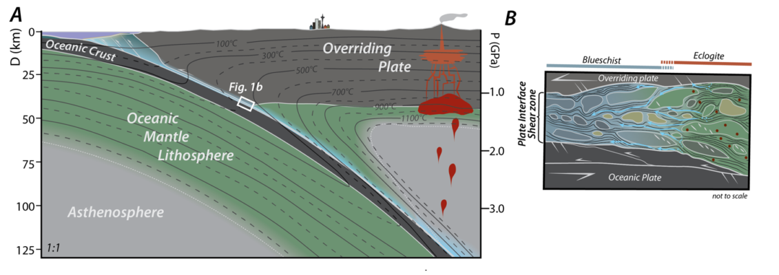 Geodynamics | Modelling the Thermal Evolution of Subduction Zones
