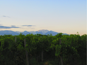 Geodynamics | Reflections on the geological and geodynamic evolution of ...