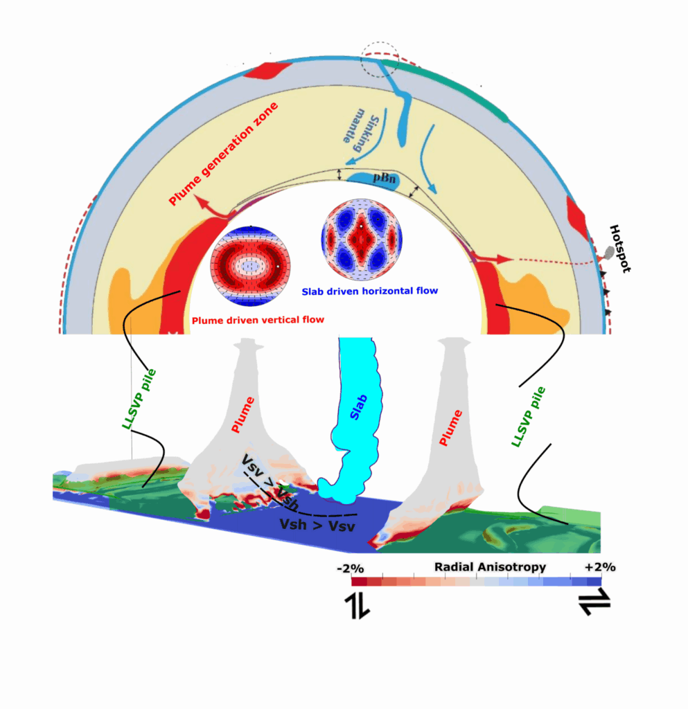 Geodynamics | Bored by the Lower Mantle? Think Again!