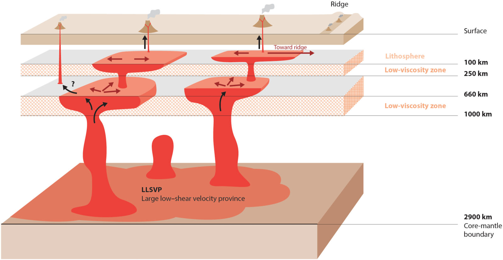 Geodynamics | Bored by the Lower Mantle? Think Again!