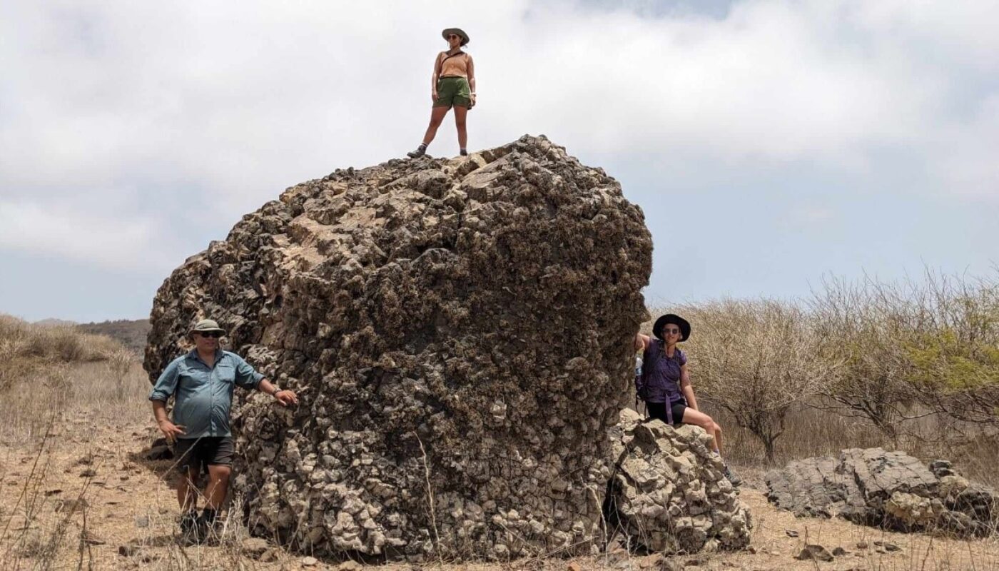 A Day in the Life – Emily Bamber - EIN Presswire