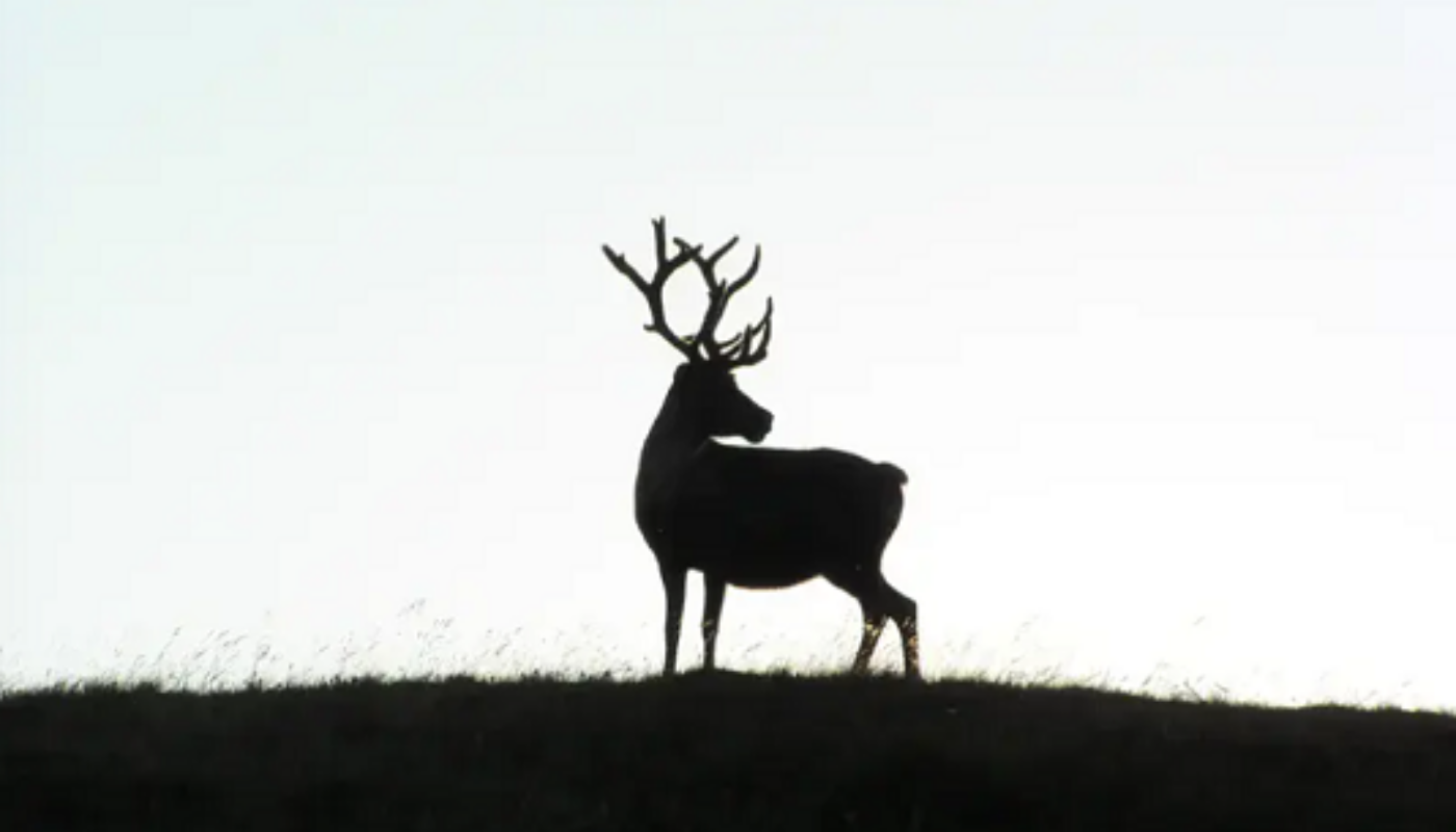 Geochemistry, Mineralogy, Petrology & Volcanology | Season’s Greetings ...