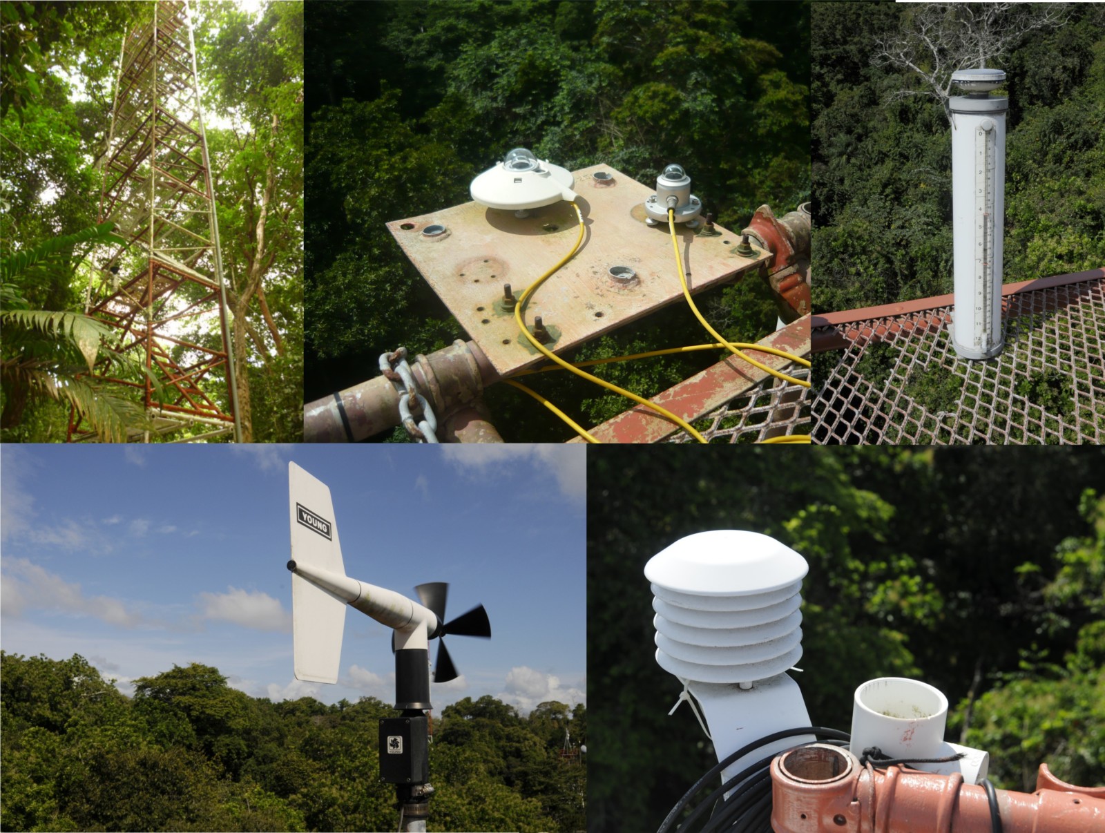 Hydrological Sciences | The Lutz Creek watershed of Barro Colorado ...