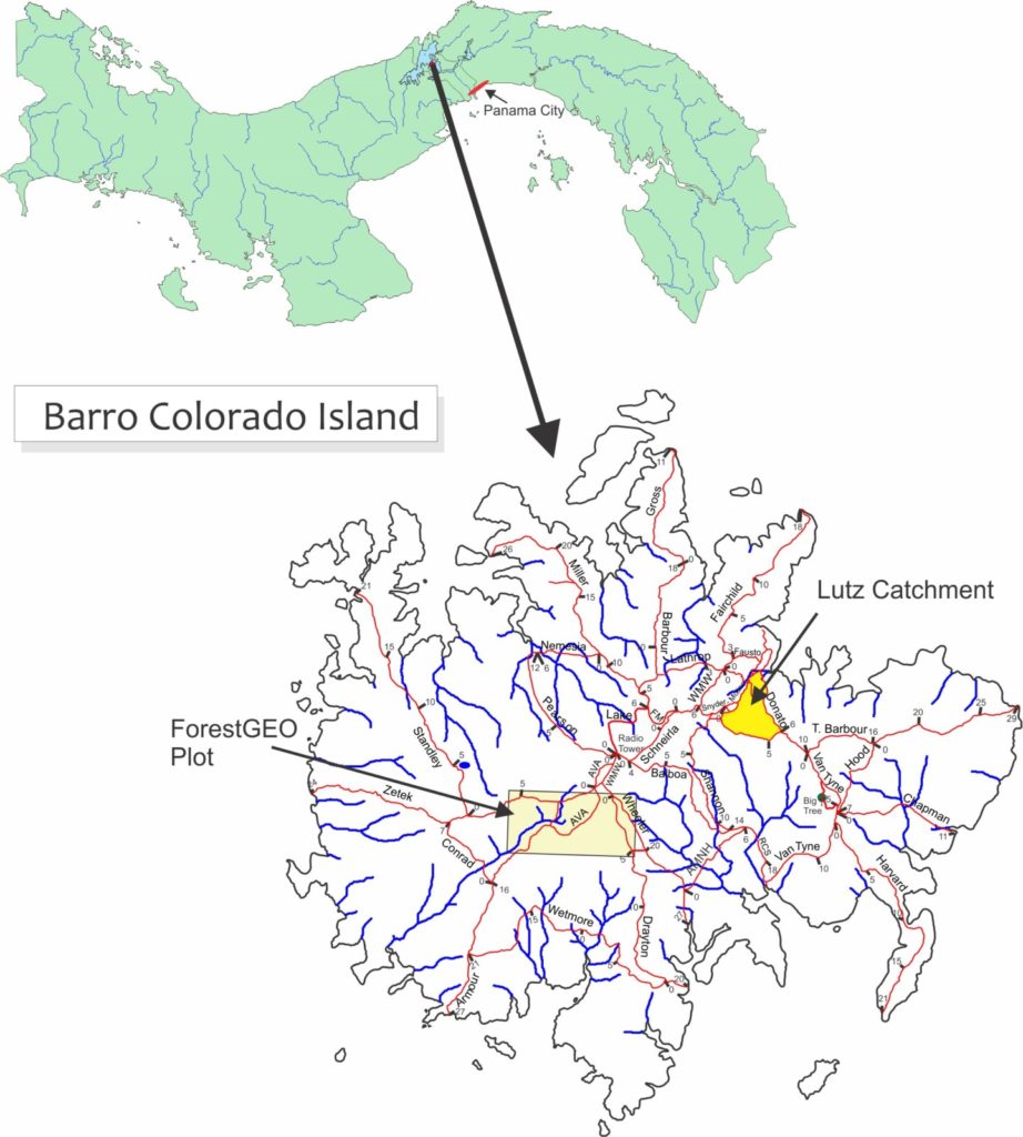 Hydrological Sciences | The Lutz Creek watershed of Barro Colorado ...