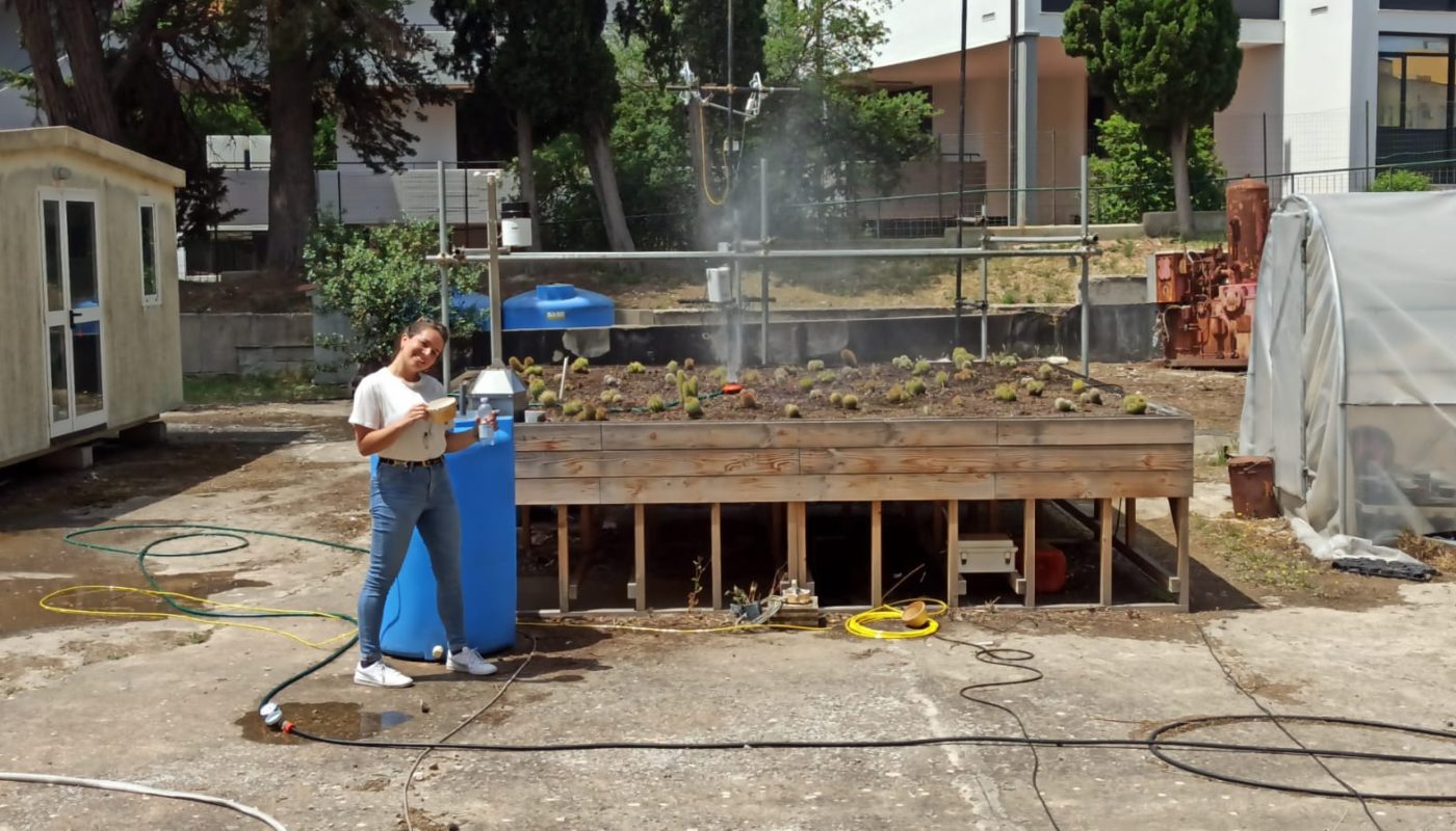 Hydrological Sciences | Being positive and passionate about resilient and smart cities ...