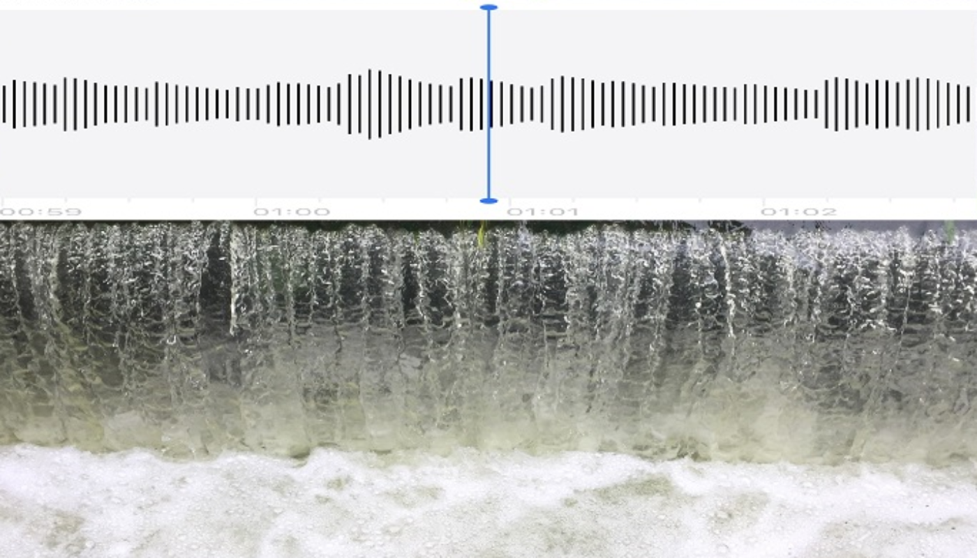 Hydrological Sciences | Benjamin Renard