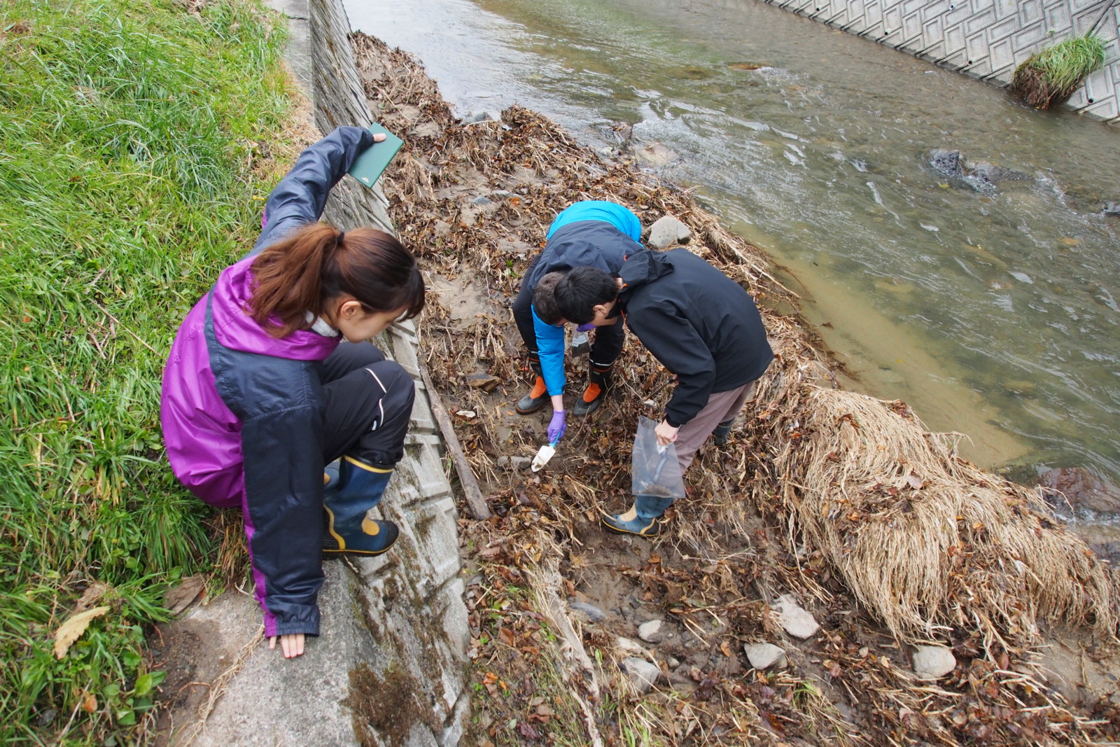 Hydrological Sciences | International initiatives to solve the ...