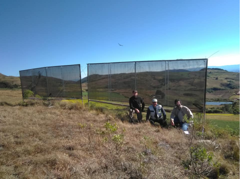 Hydrological Sciences | Catch the rain when it falls: a journey through ...