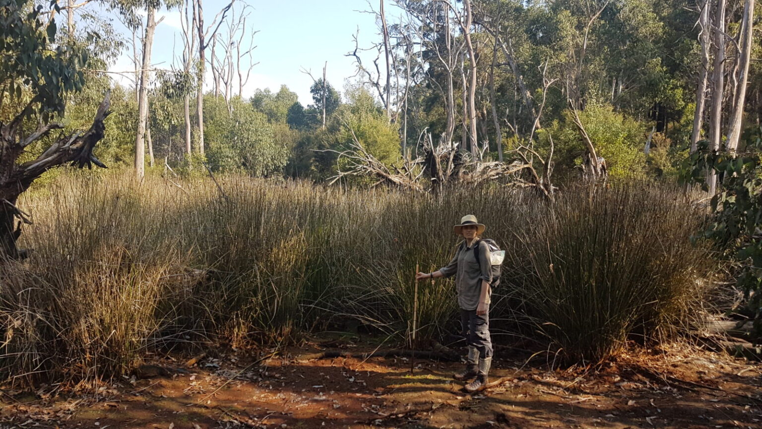 Hydrological Sciences | Meet your ECS Rep – Melissa Reidy