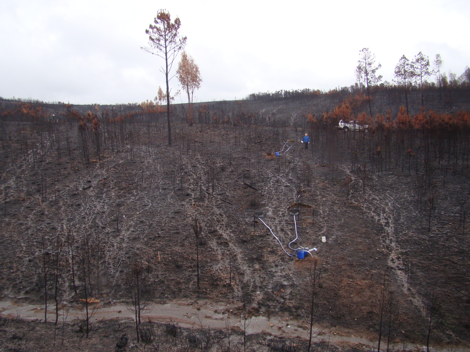 Natural Hazards | Mitigating Soil Erosion After Wildfires