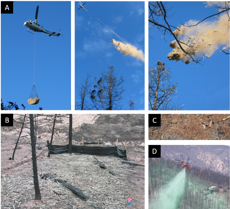 Natural Hazards | Mitigating Soil Erosion After Wildfires