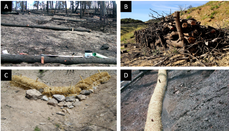 Natural Hazards | Mitigating Soil Erosion After Wildfires