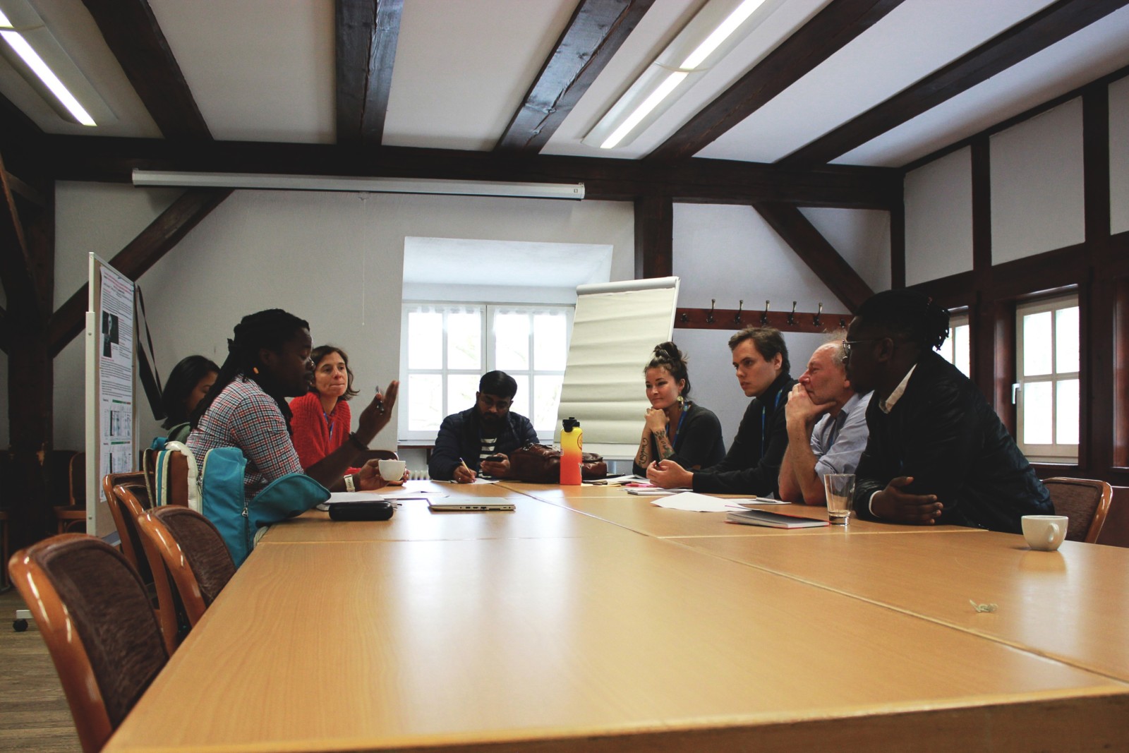 Natural Hazards | Fire impacts on Earth across space and time: a ...