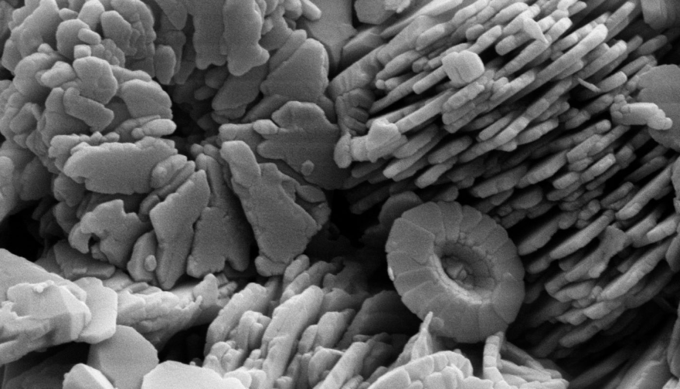 Stratigraphy, Sedimentology and Palaeontology | Picture of March