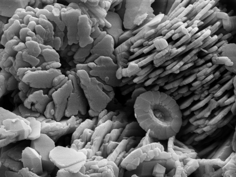 Stratigraphy, Sedimentology and Palaeontology | 2018 March