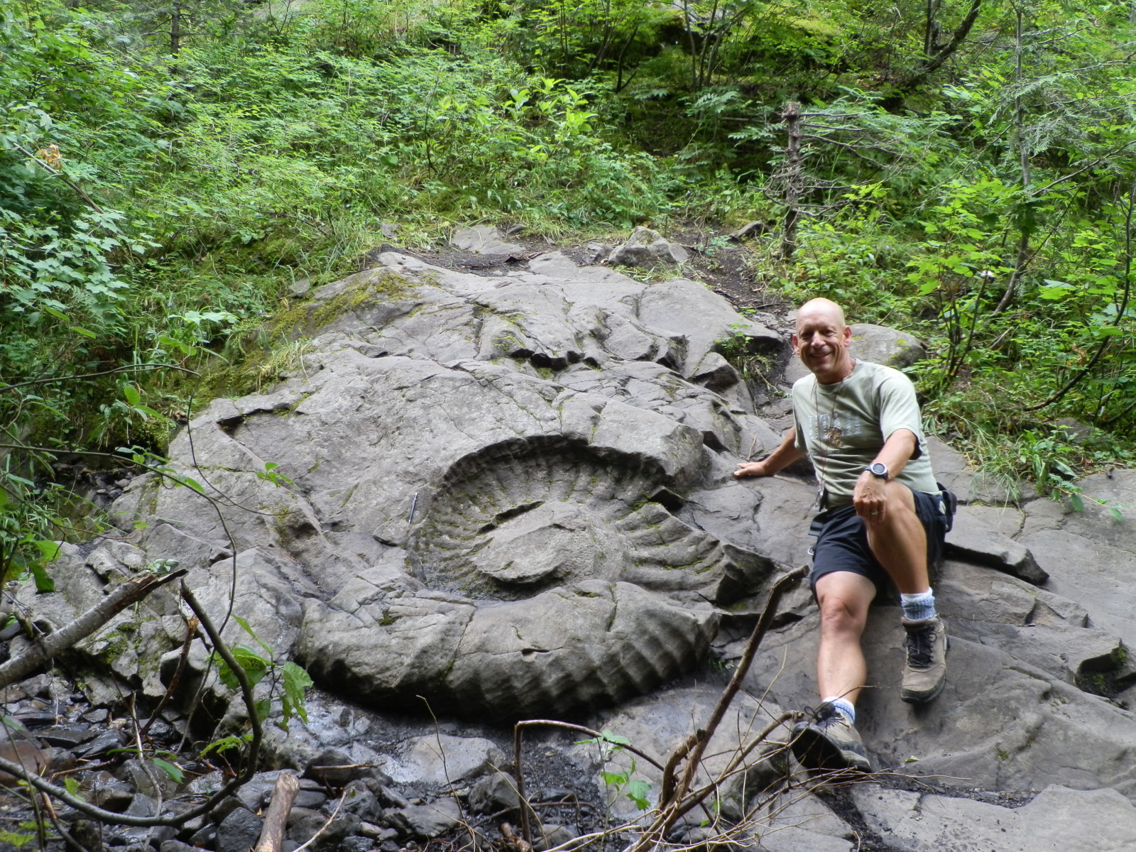 Stratigraphy, Sedimentology and Palaeontology | Jon Noad