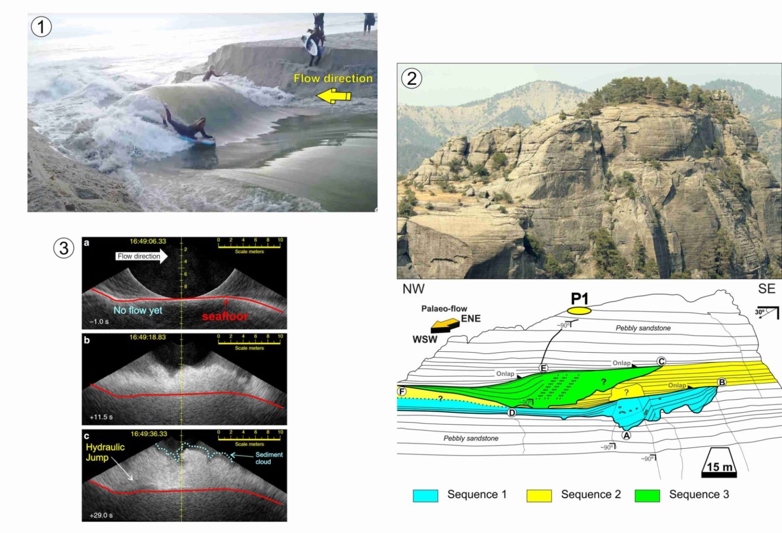 Stratigraphy, Sedimentology and Palaeontology | Sediment in the deep ...