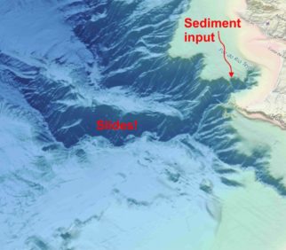 Stratigraphy, Sedimentology and Palaeontology | Congo Canyon: A Chat ...