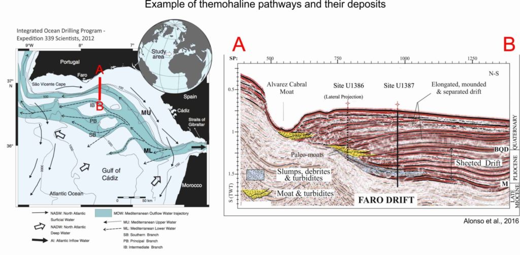 Stratigraphy, Sedimentology and Palaeontology | Sediment in the deep ...