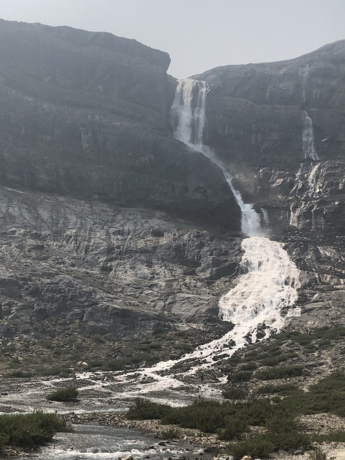 Stratigraphy, Sedimentology and Palaeontology | Alberta’s Geological Riches